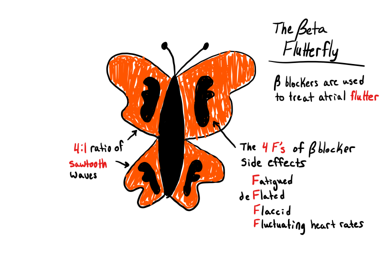 Beta Flutterfly