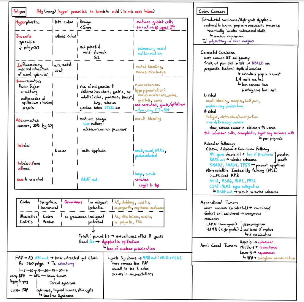 Lower GI Neoplasms